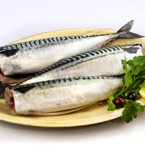 Atlantinė SKUMBRĖ | Šviežia, šaldyta žuvis | Žuvies produktai